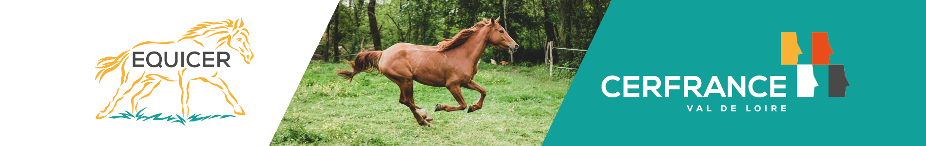 Comptabilité et Gestion pour les métiers du cheval