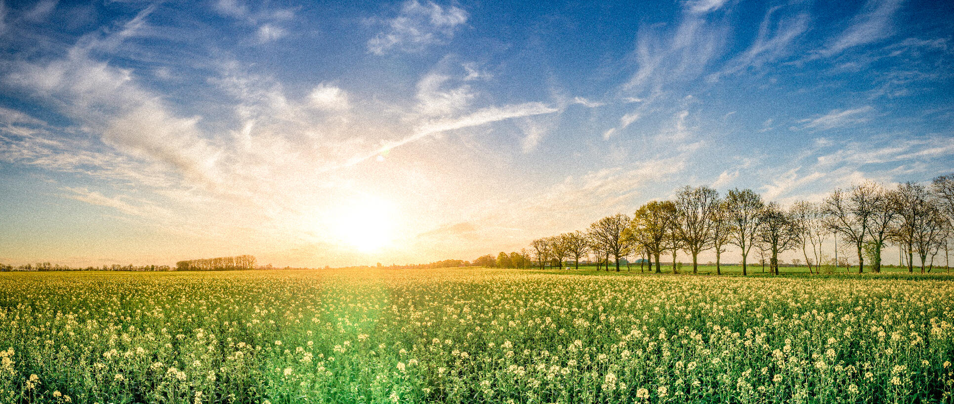 Déclaration PAC 2024 : Aides animales